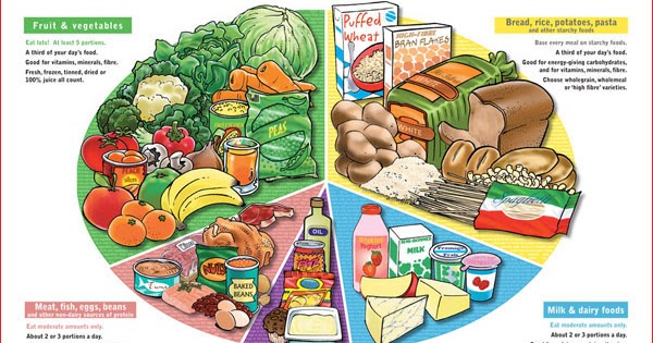 Health is Wealth: The Eatwell Plate