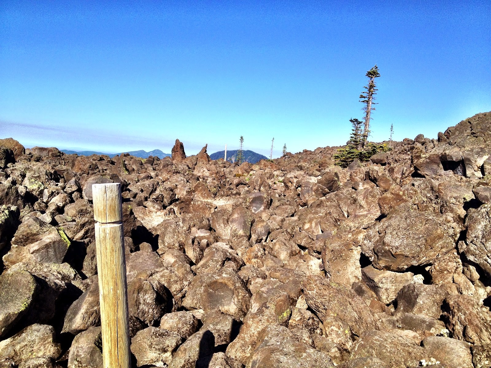 Forever Pace: Jbob's Volcanic 50k Race Report - Mt. St. Helens ...