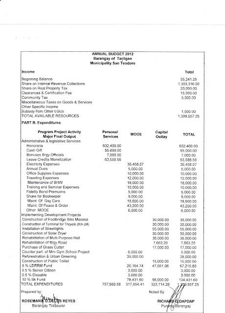 LGU San Teodoro Full Disclosure of Local Finances: Annual Budget ...