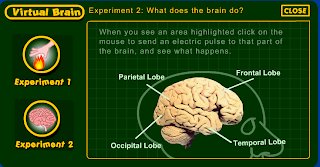 Technology Integration: MIndset