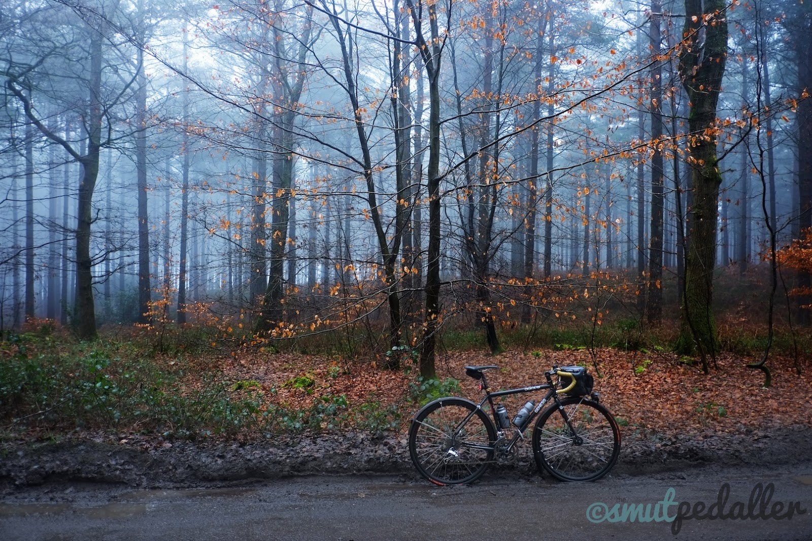 The Smut Pedaller: Surrey Hills and Winterfold Forest