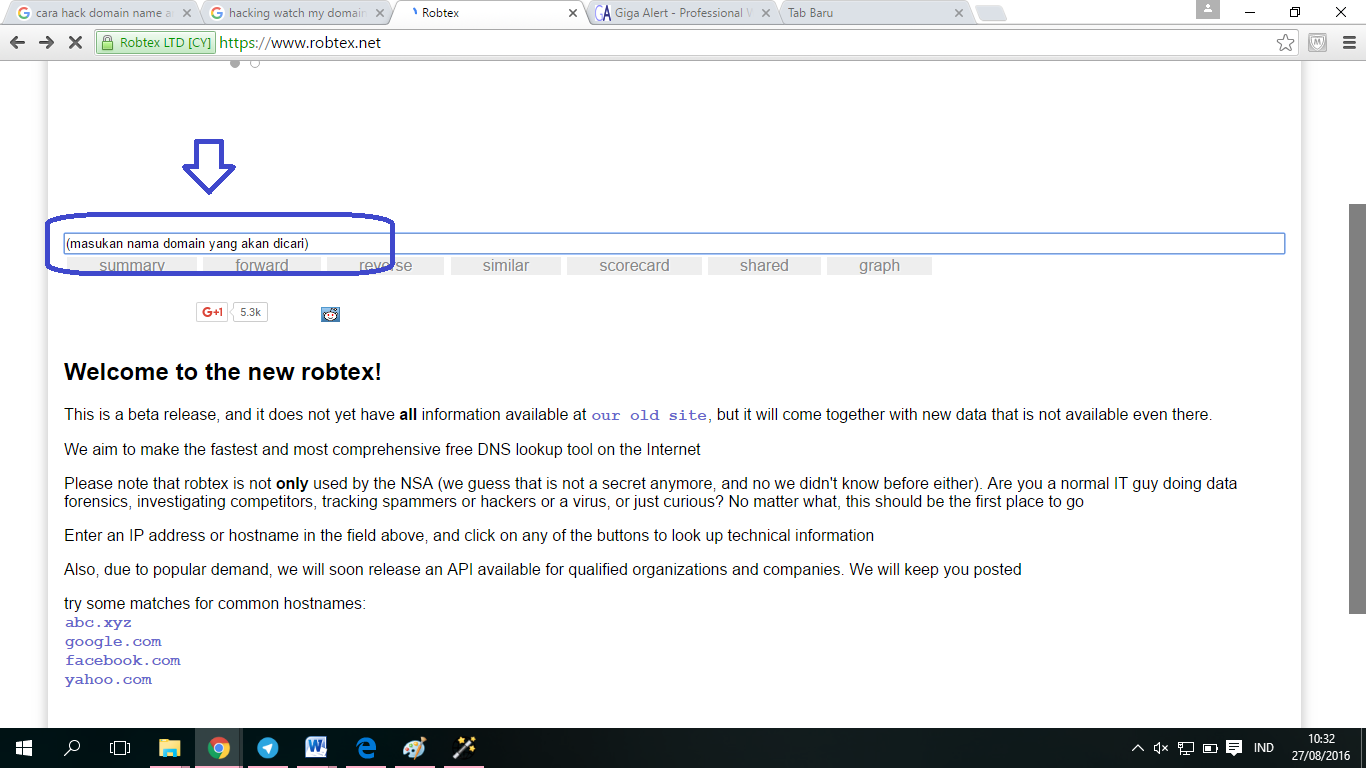 Footprinting Melalui Robtex | Keamanan Jaringan