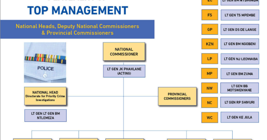 SAPS Organizational Structure