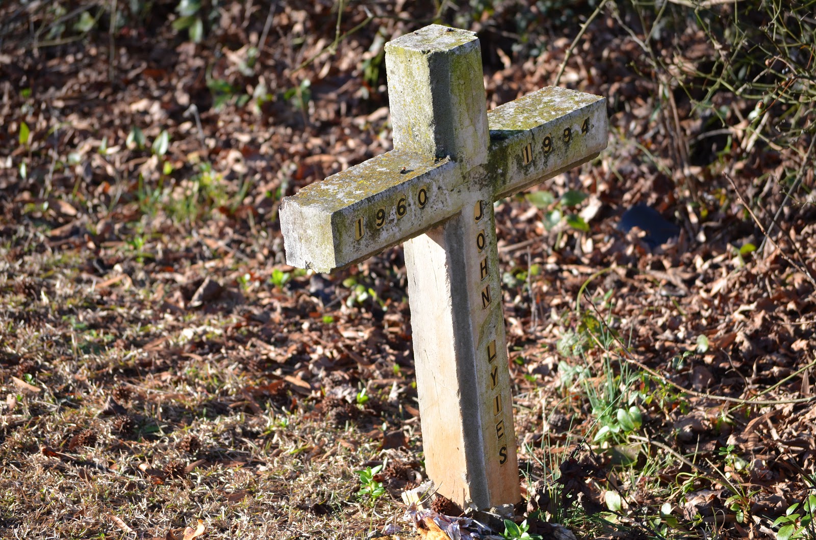 Discovering Hidden South Carolina: One Wednesday at a Time: Randolph ...