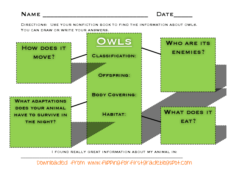Flipping for First Grade!: Research Unit