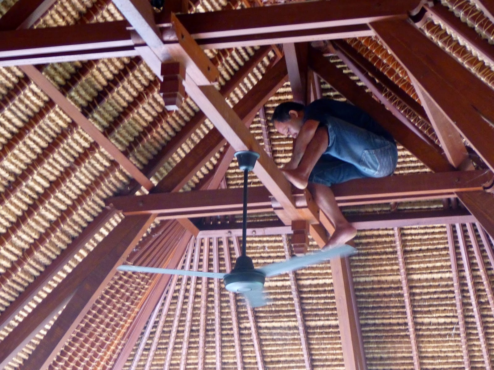 DoeWelEnZieNietOm +++: Balinese Alang Alang Thatched Roofing