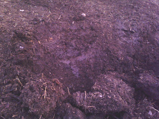 ALLISSONECOMPANHIA: ESTRUME CURTIDO