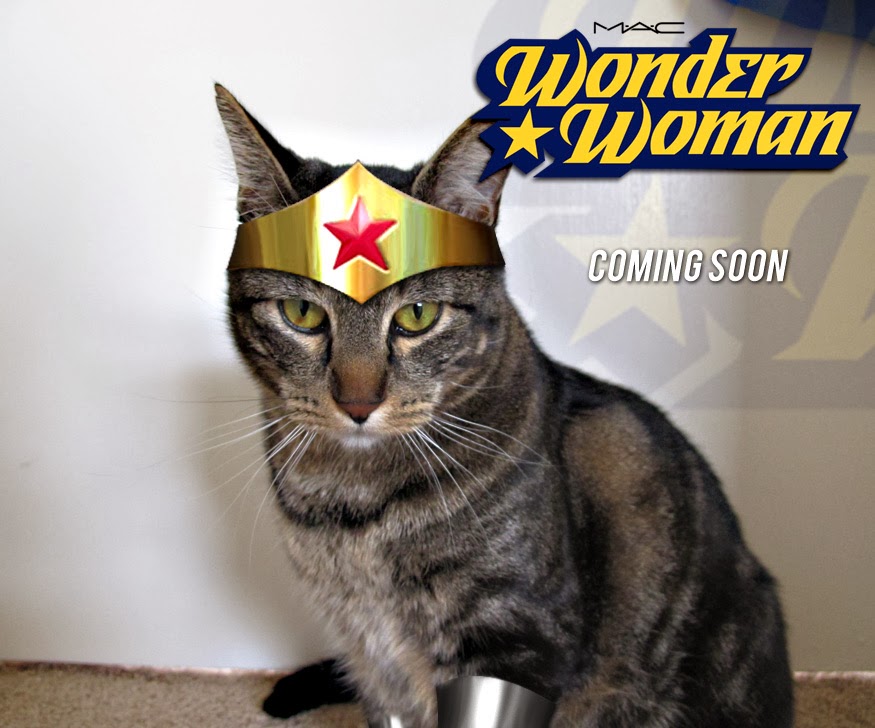 The BLOG: Cat Blog Friday