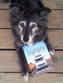 The Days of Johann, an agility dog!: Book review: Dogtripping: 25 ...