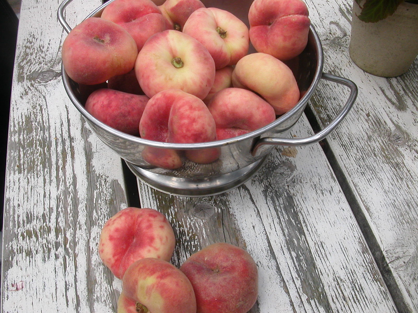 Aan Jeanne`s Keukentafel: Perzik Jam