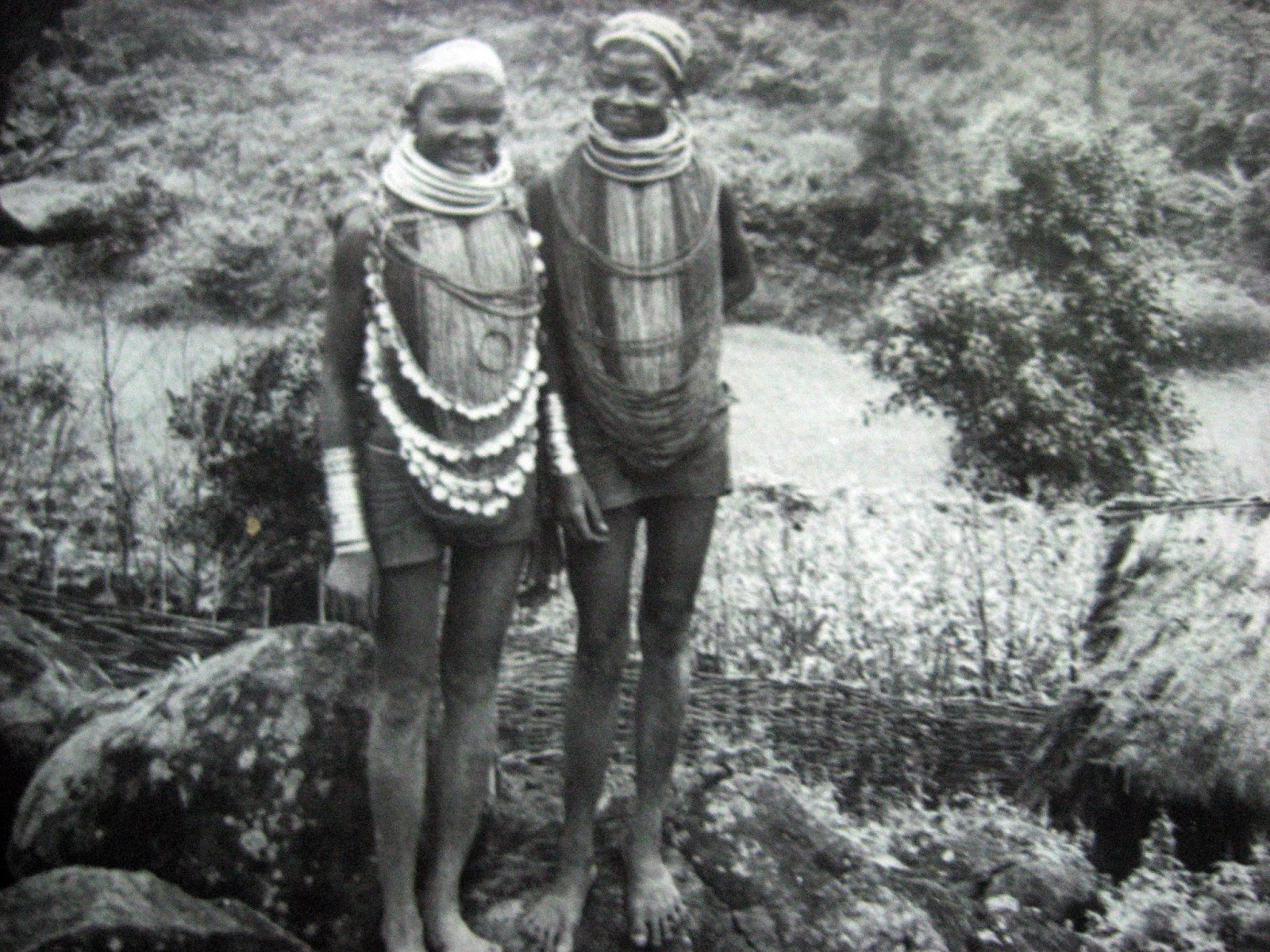 Creative kavs: The Endangered Bonda tribe