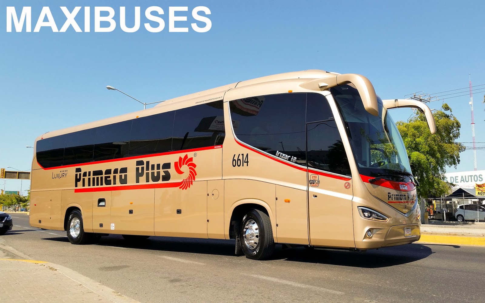 MAXIBUSES: PRIMERA PLUS