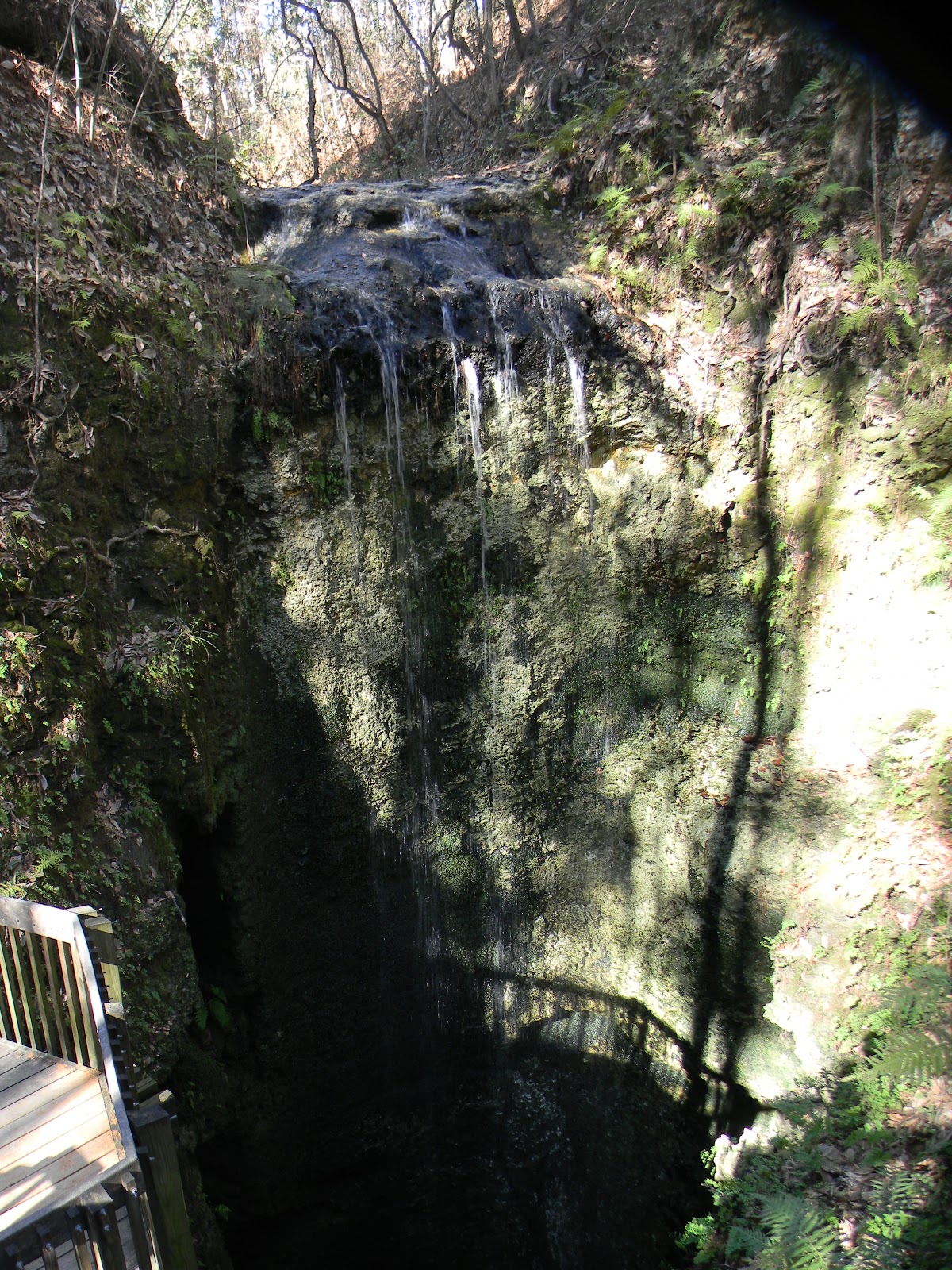 The "Unknown" Florida: Falling Waters State Park - Chipley, FL