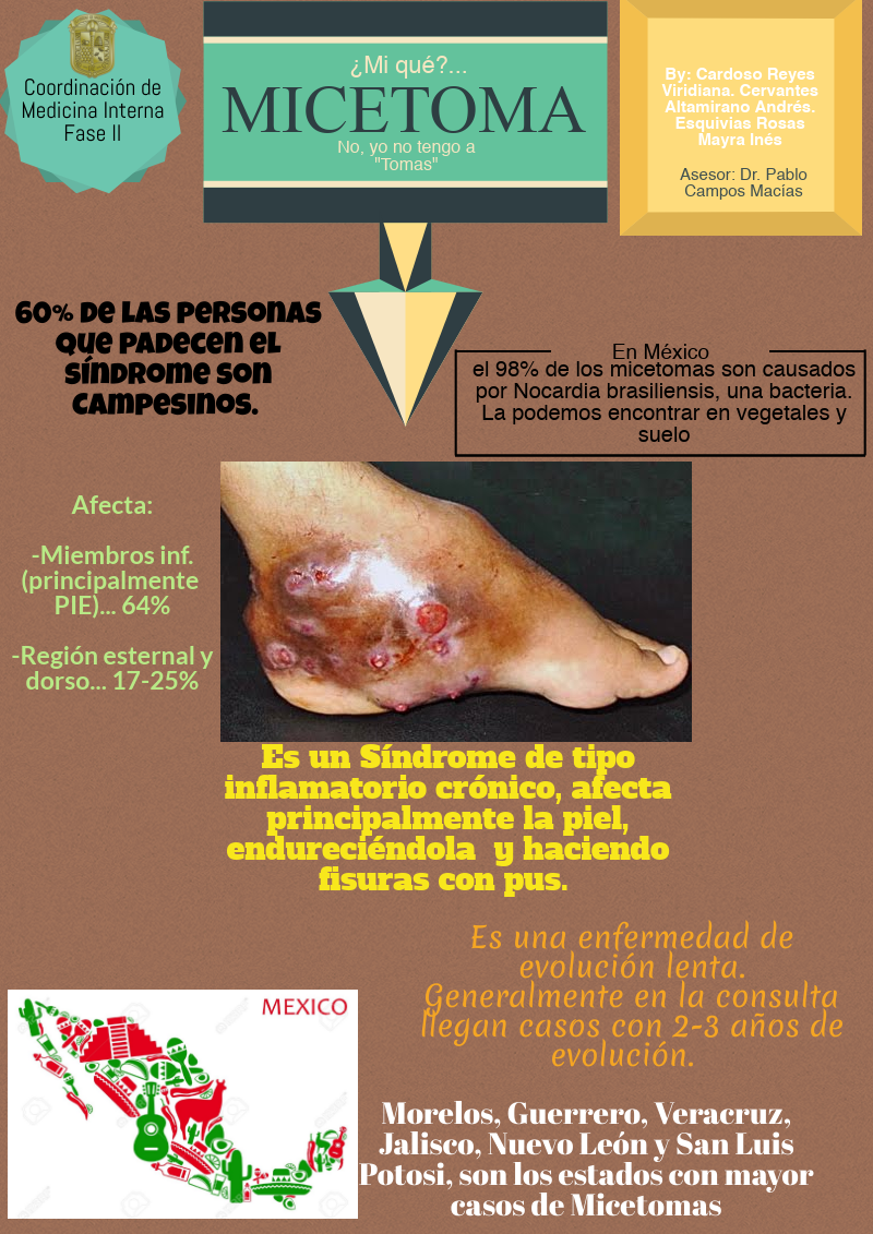 DIVULGACIÓN CIENTÍFICA UG: Micetoma