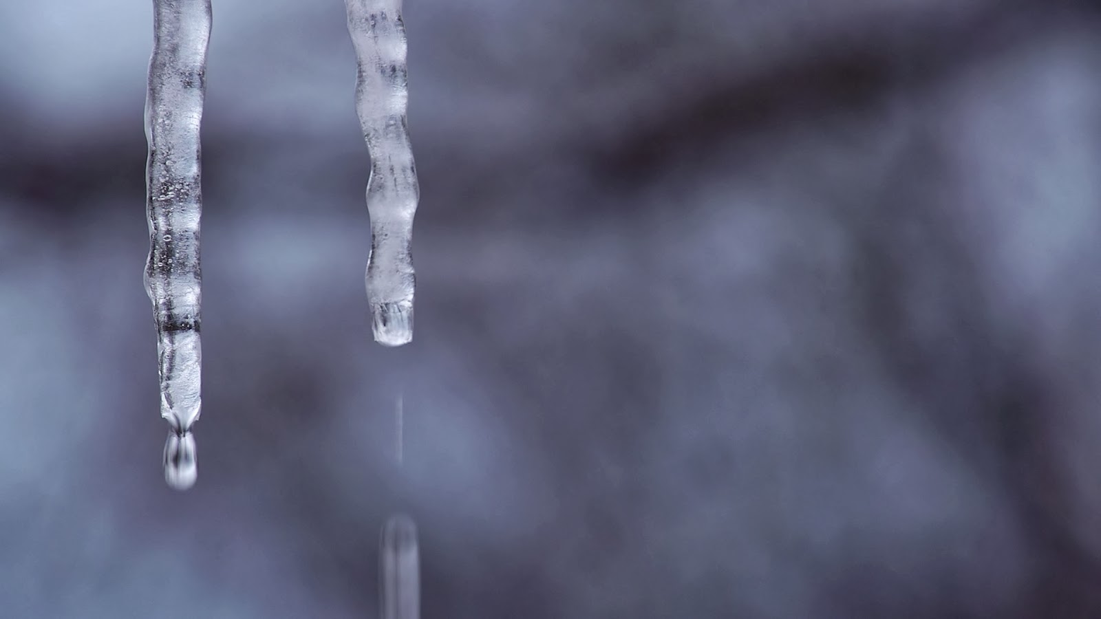 Beachfront B-Roll: Nature