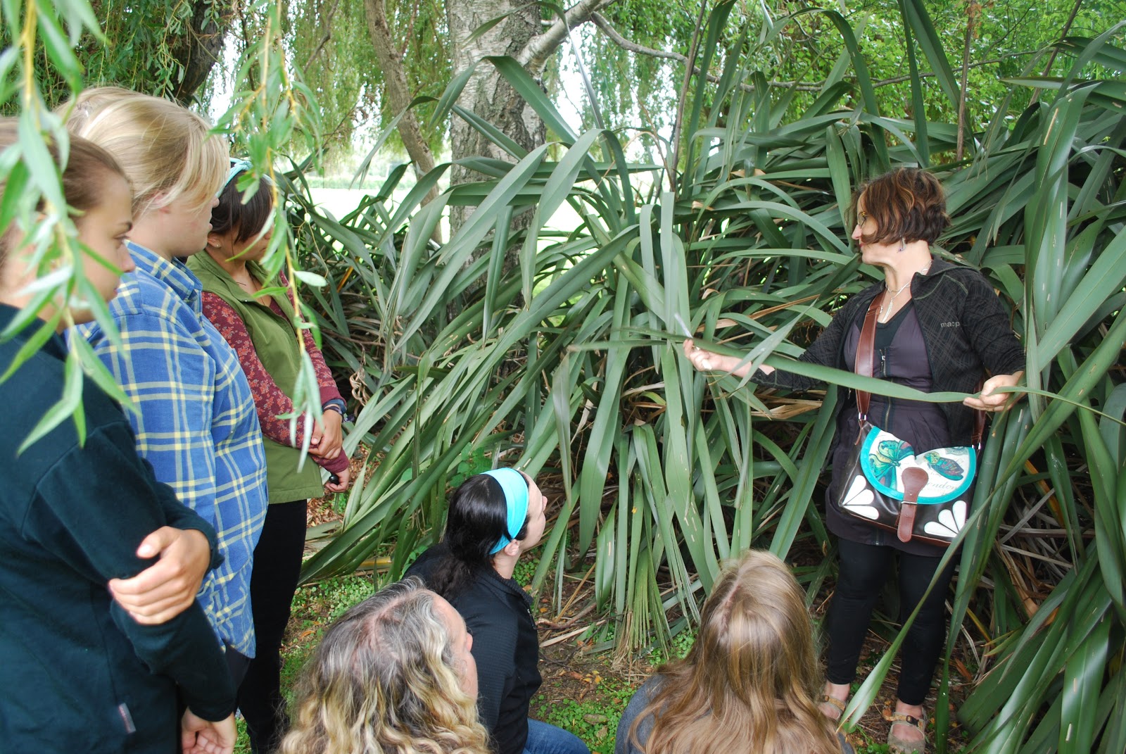 CCSP New Zealand Spring 2013: Fun With Flax