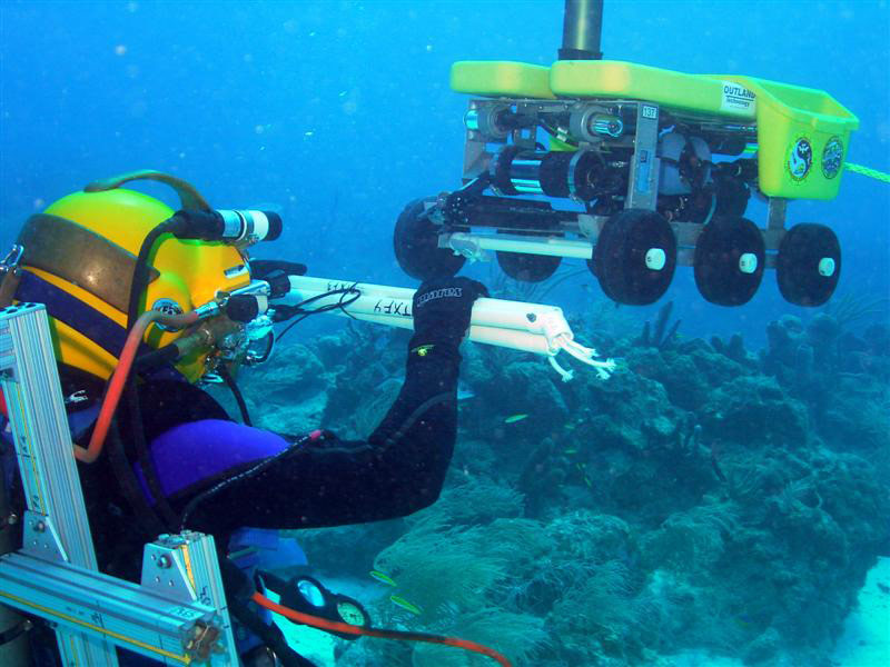 Meca Robots: ROV