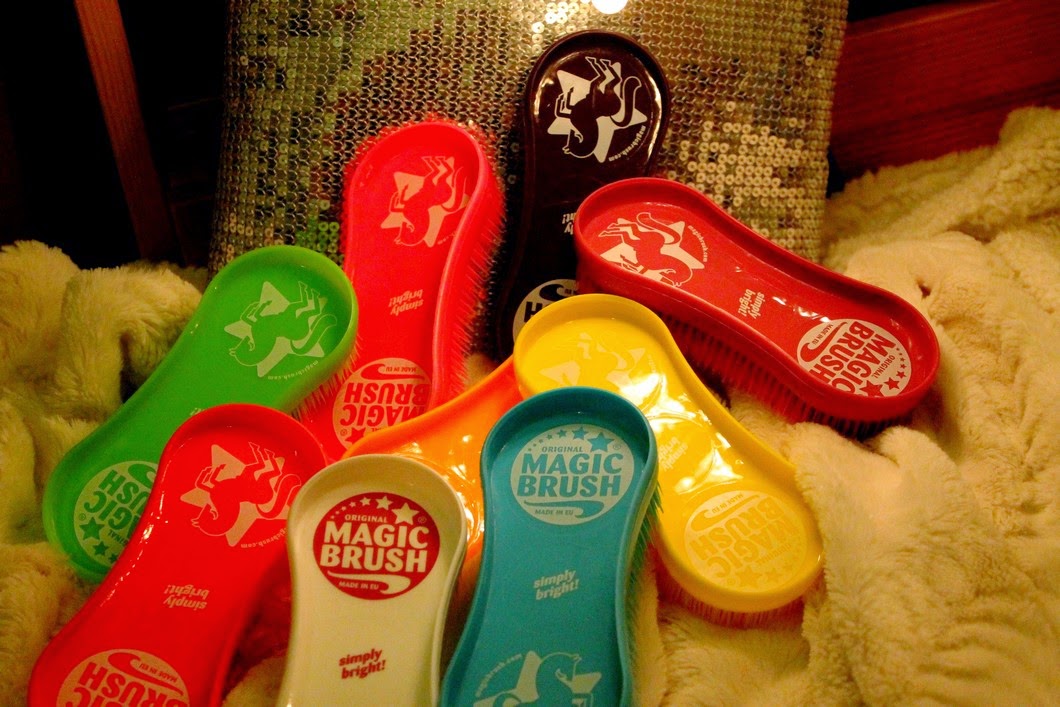 The Horse Riders : Magic Brush