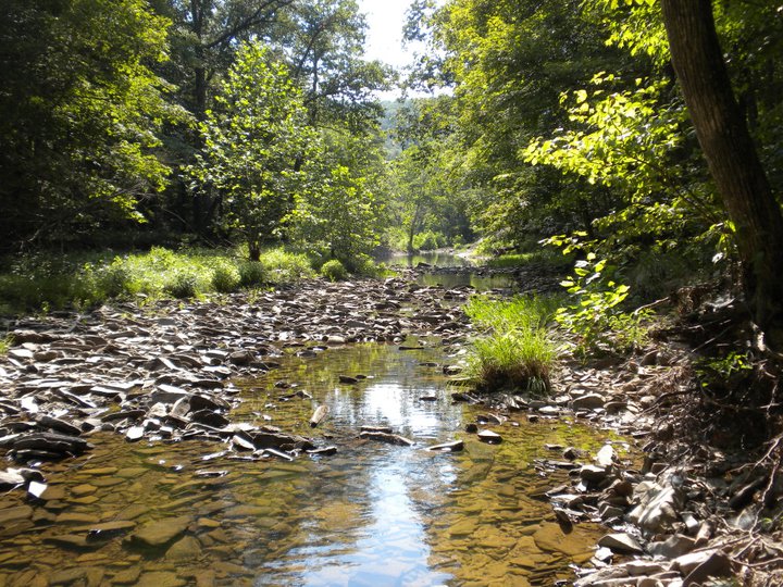Blog: Maryland's Green Ridge State Forest