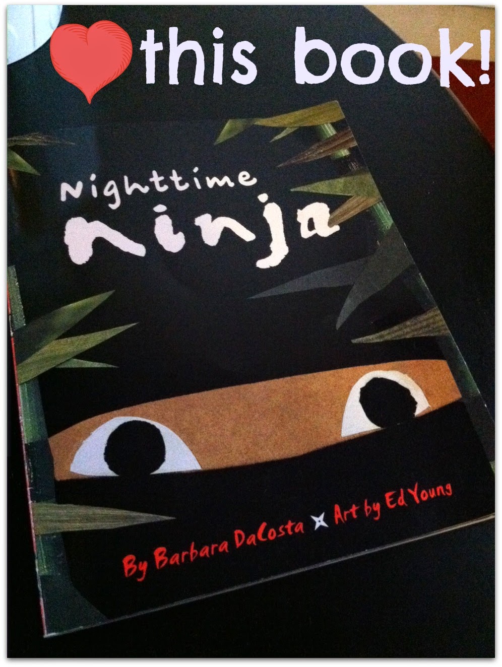 Primary Possibilities: Tons of Fun with Nighttime Ninja!