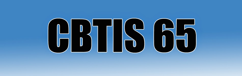 Programación CBTIS 65