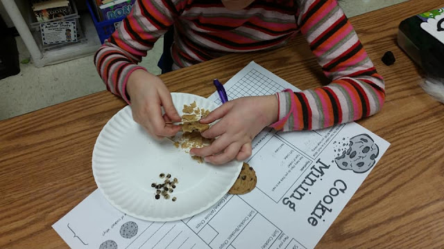 Growing a STEM Classroom: Mining Chocolate Chip Cookies