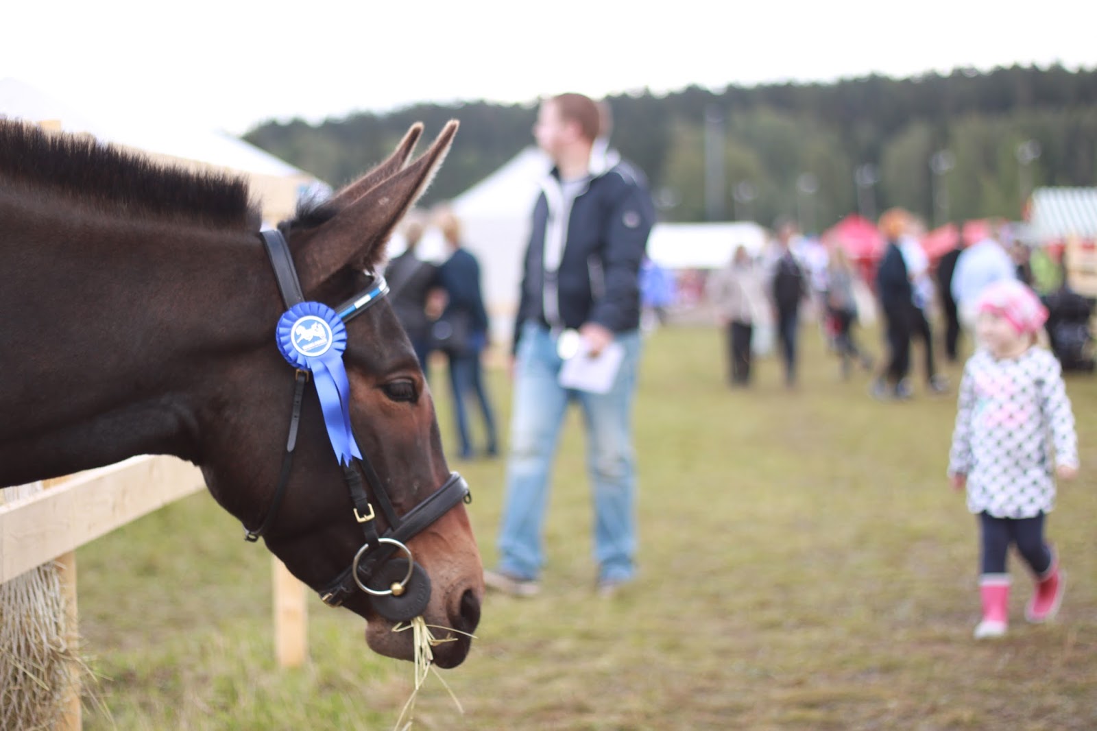 Muuliprojekti: Kouvostoliitto on nyt nähty ja koettu