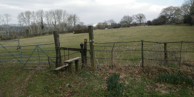 My Dartmoor Walks: Sunday 24th February The Walkhampton Plaques