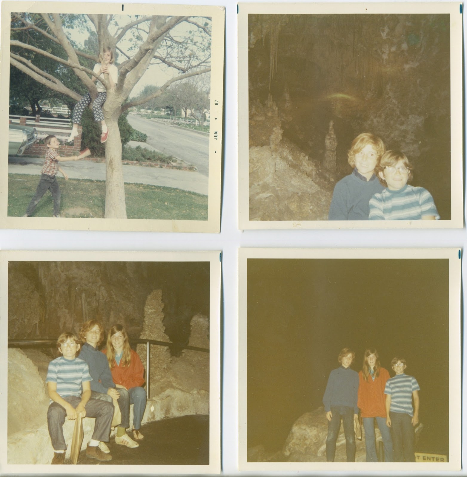 Weissmann Family Findings