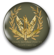 Israel Defense Forces,logo,badges and wallpaper 3D-HD: IDF badge button ...