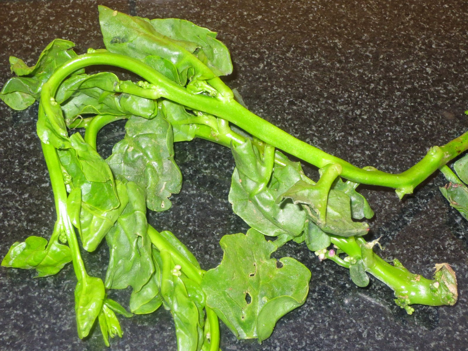 Basale Soppina palya / Malabar spinach curry (dry) ~ Enjoy cooking