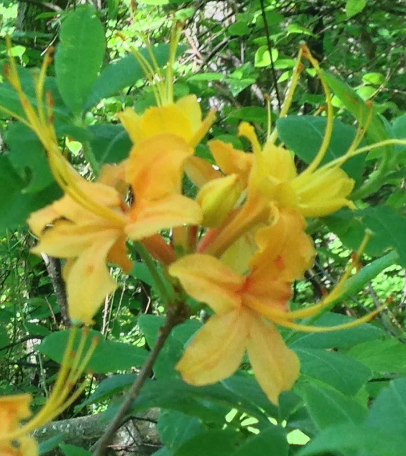 Hiking to the Heights: A Glorious Three Days in the Backcountry of the ...