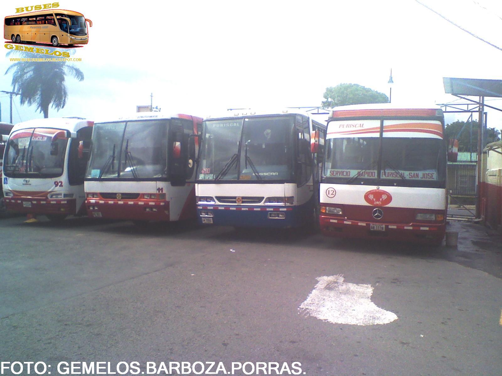 Buses Gemelos: GALERIA VARIADA