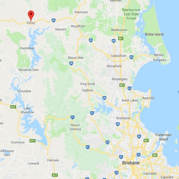 Video | Bat camp Kilcoy Queensland