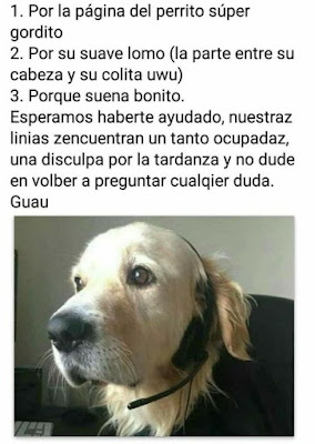 ¿Por qué les dicen ‘lomitos’ a los perritos?