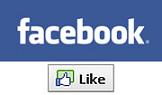 The Facebook Like Button - A Moment Please