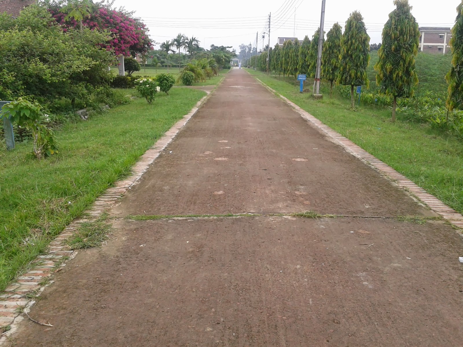 Mahasthangarh: Picture