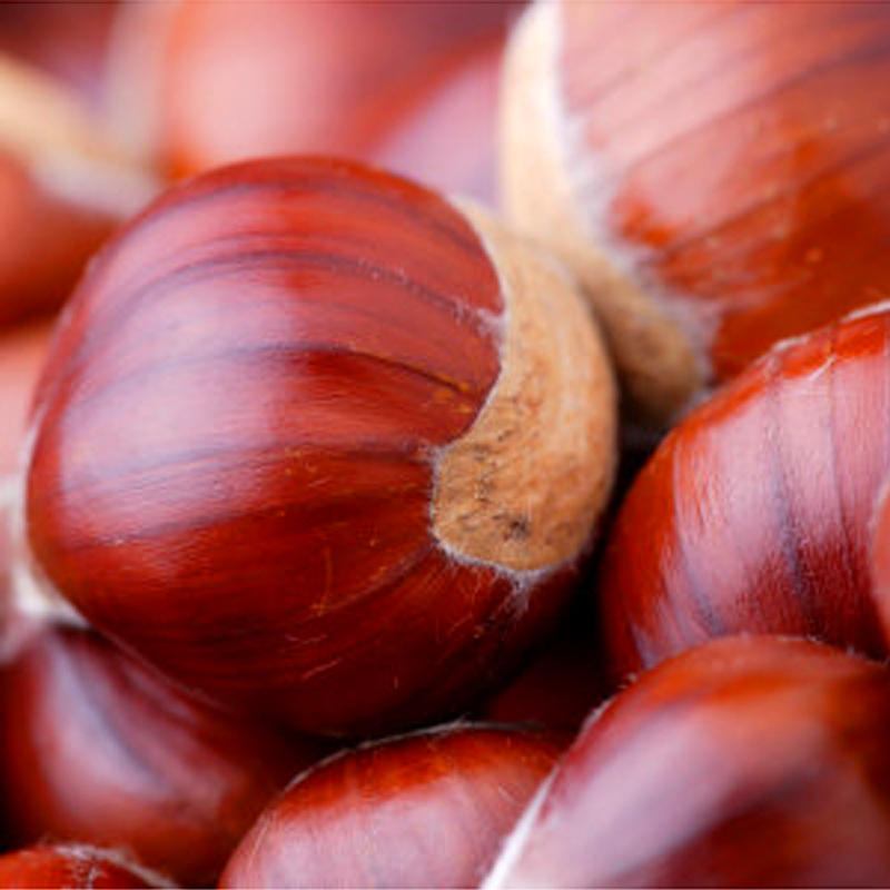 Giovannas Kitchen & Garden: Chestnuts anyone?