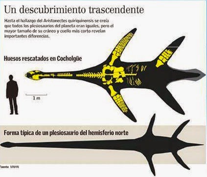 DINOSAURIOS gigantes de chile: Dinosaurios y otros gigantes del ...