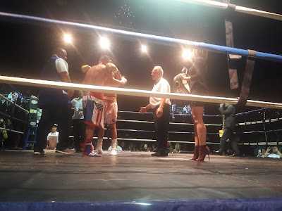 Utah MMA and Boxing : Gomez wins ABO title but fails to stop resilient ...