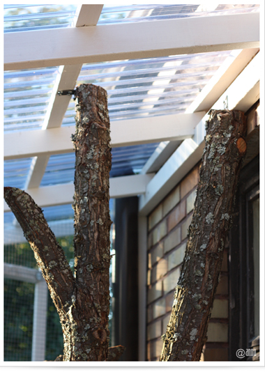 Kaikki puuosat maalattiin maalarin valkoisella ennen rungon kasausta ...