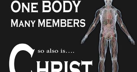 THE BODY OF CHRIST