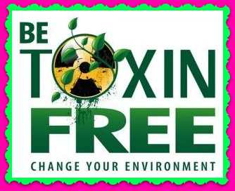 Clinical Essential Oils: Do you live in Toxic-Free Environment? Think ...