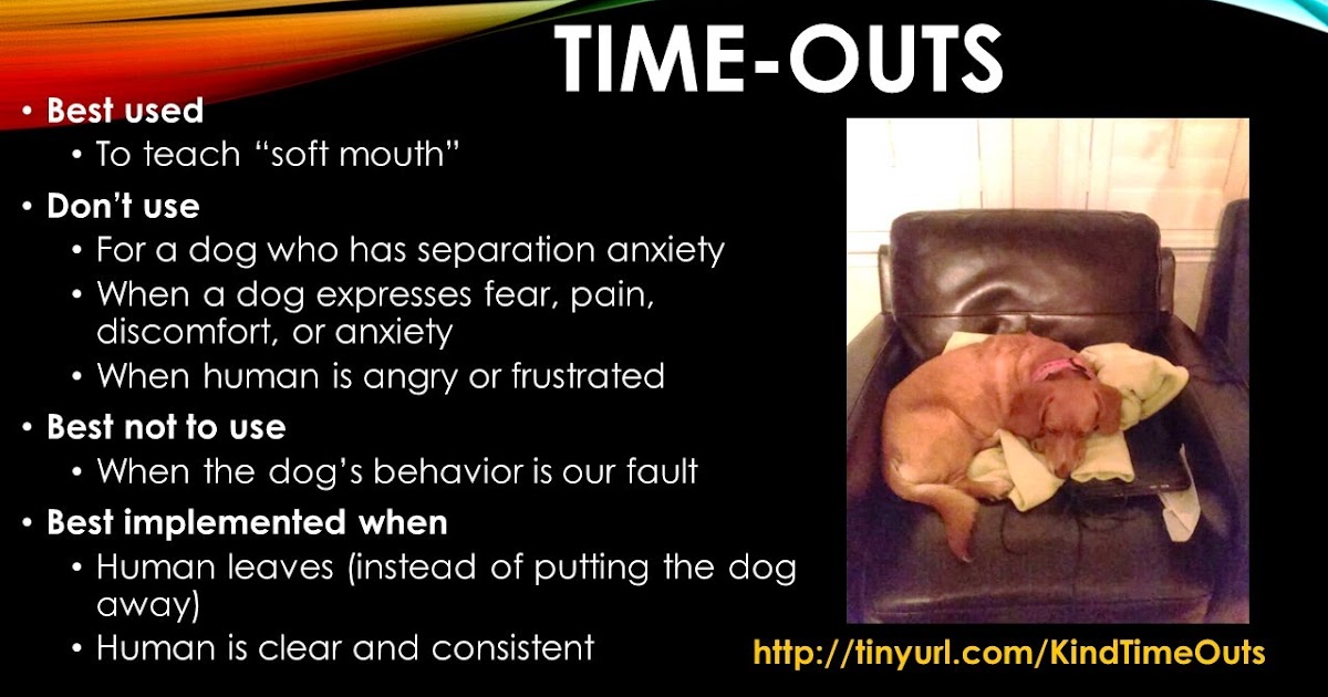 Pet Education: Time Outs