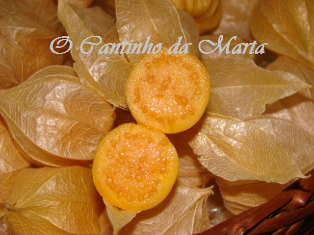 O Cantinho da Marta: Fisális - Physalis