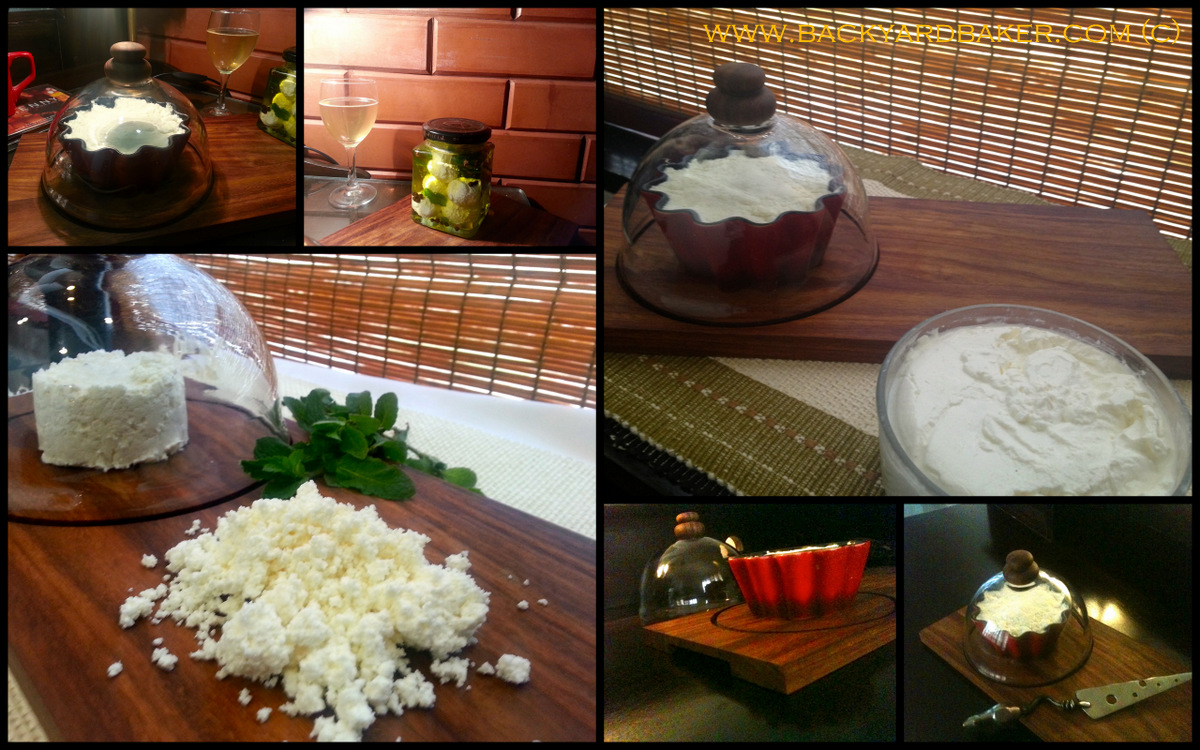 Homemade Cheese - The Daring Cook's March 2013 Challenge