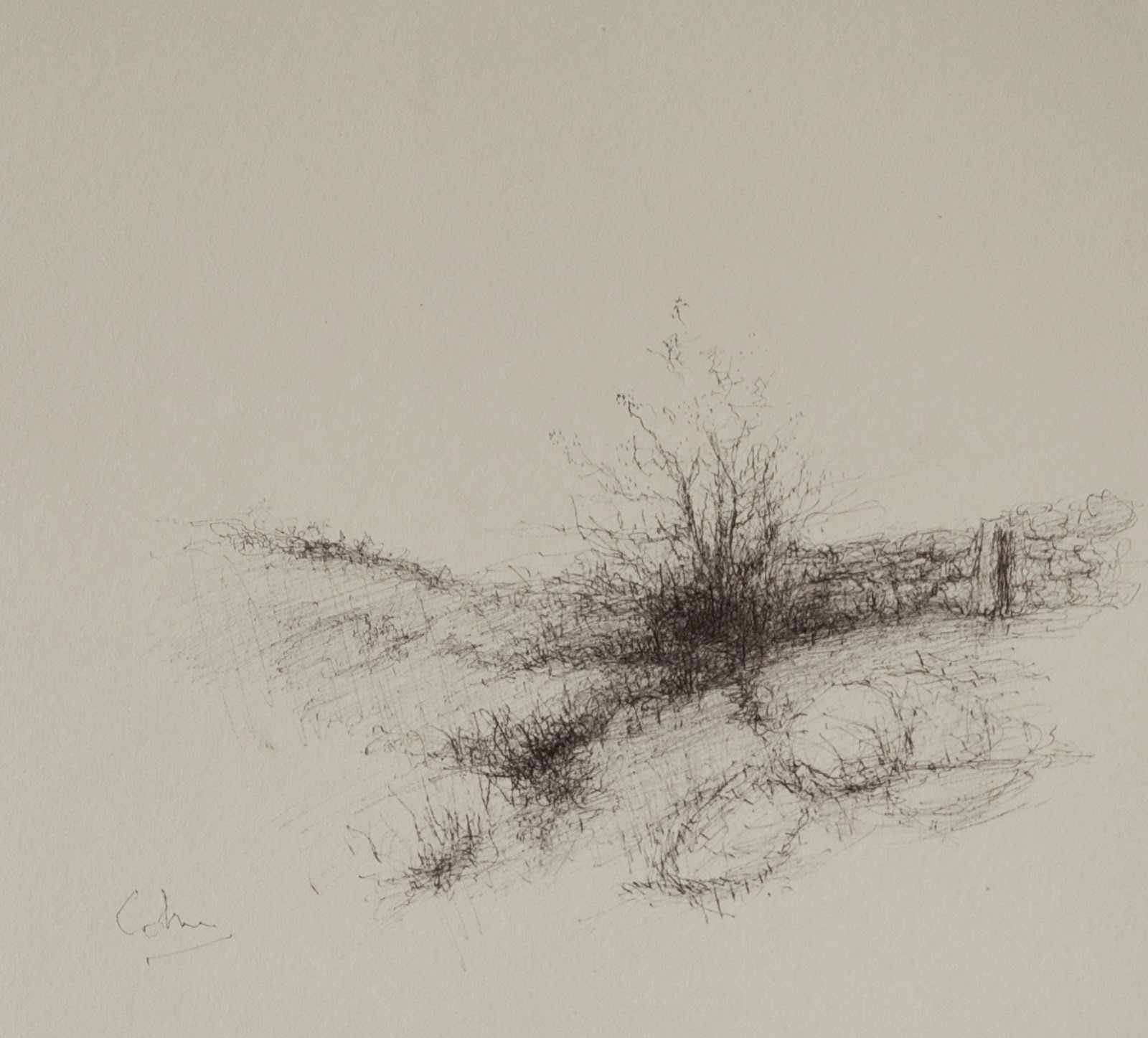 Colm Butler - Artist