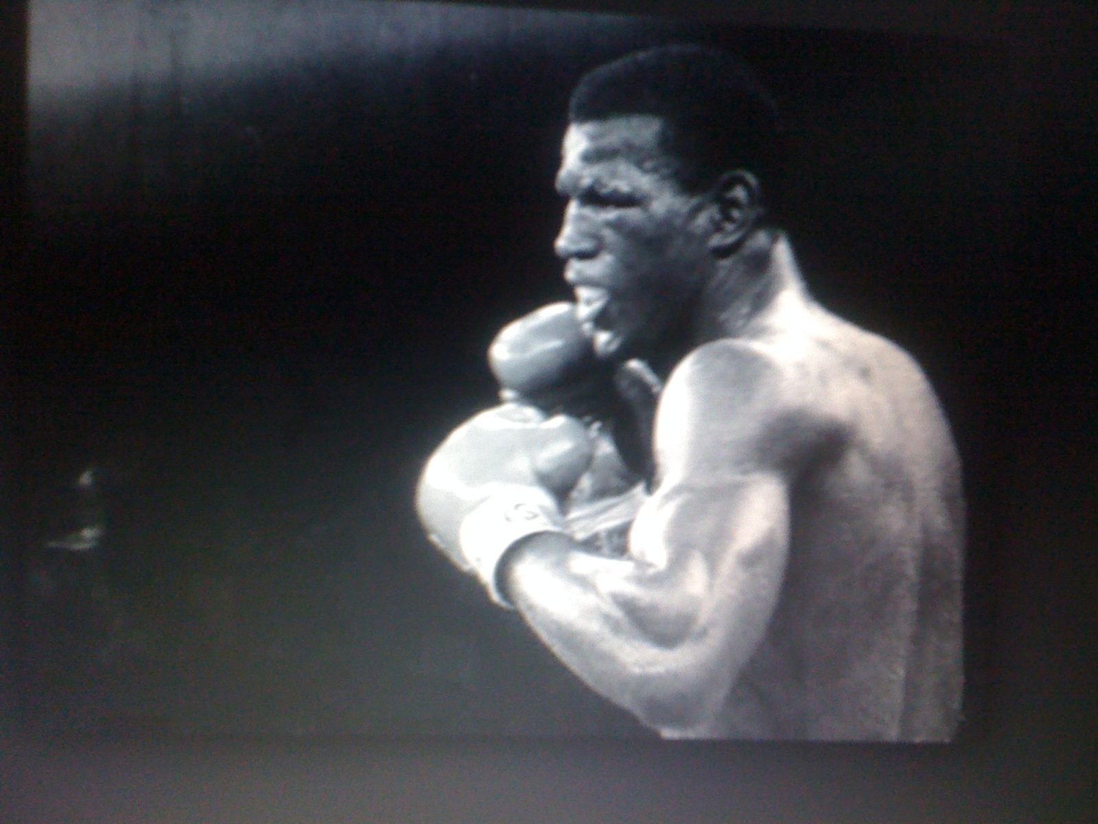 THE BLACK SOCIAL HISTORY:: BLACK SOCIAL HISTORY : AFRICAN AMERICAN ...