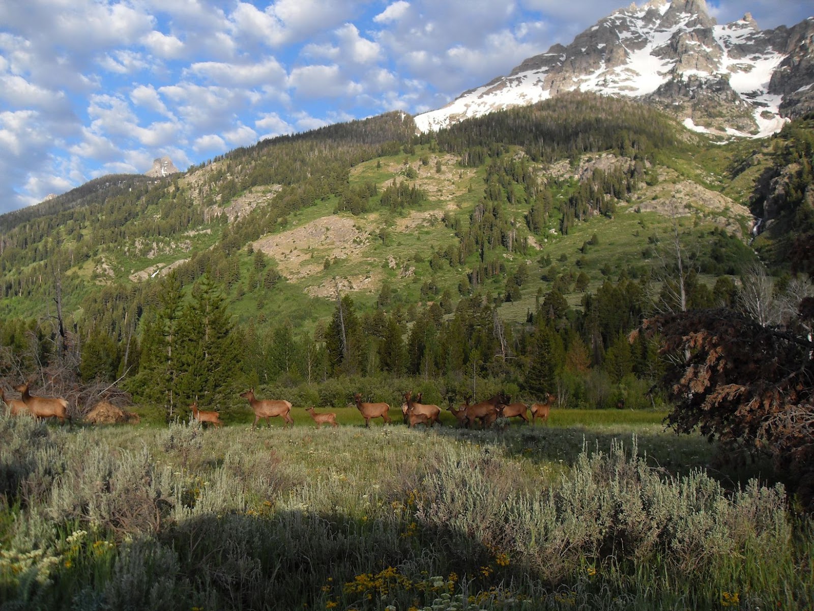 WYOMING WHISKEY: Lupine Meadows Trailhead