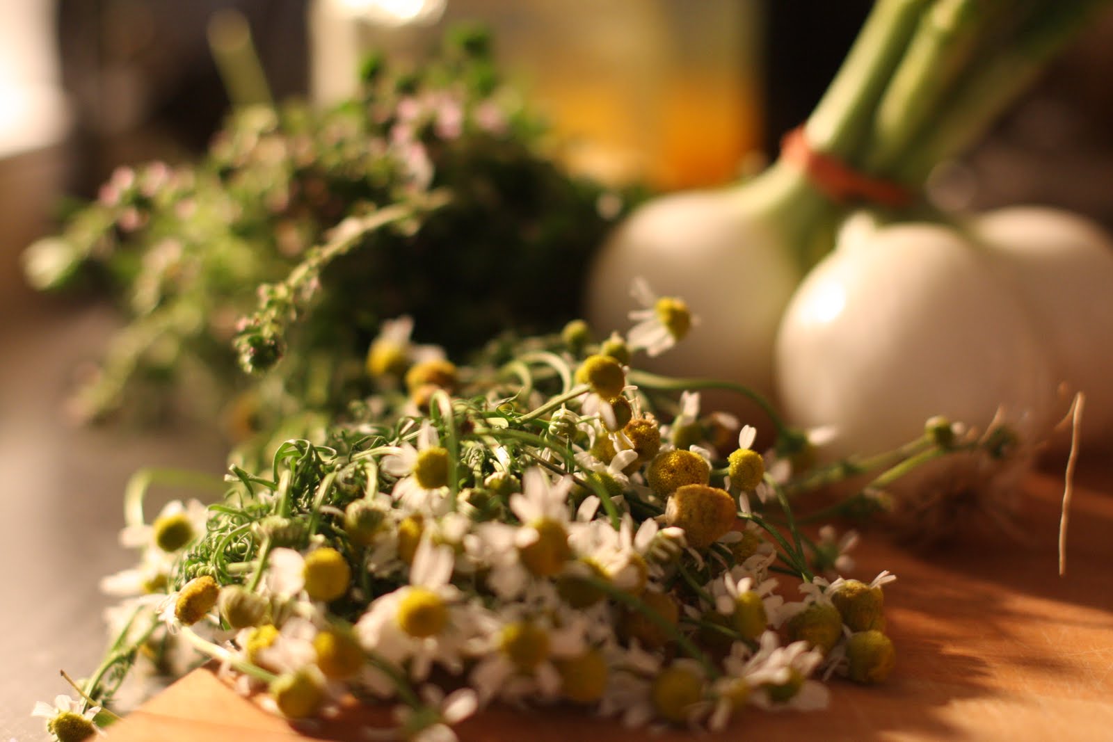 Family2Table: Herbage